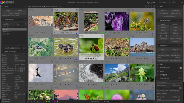 Darktable 5.6: il potente editor RAW open source si arricchisce di ...
