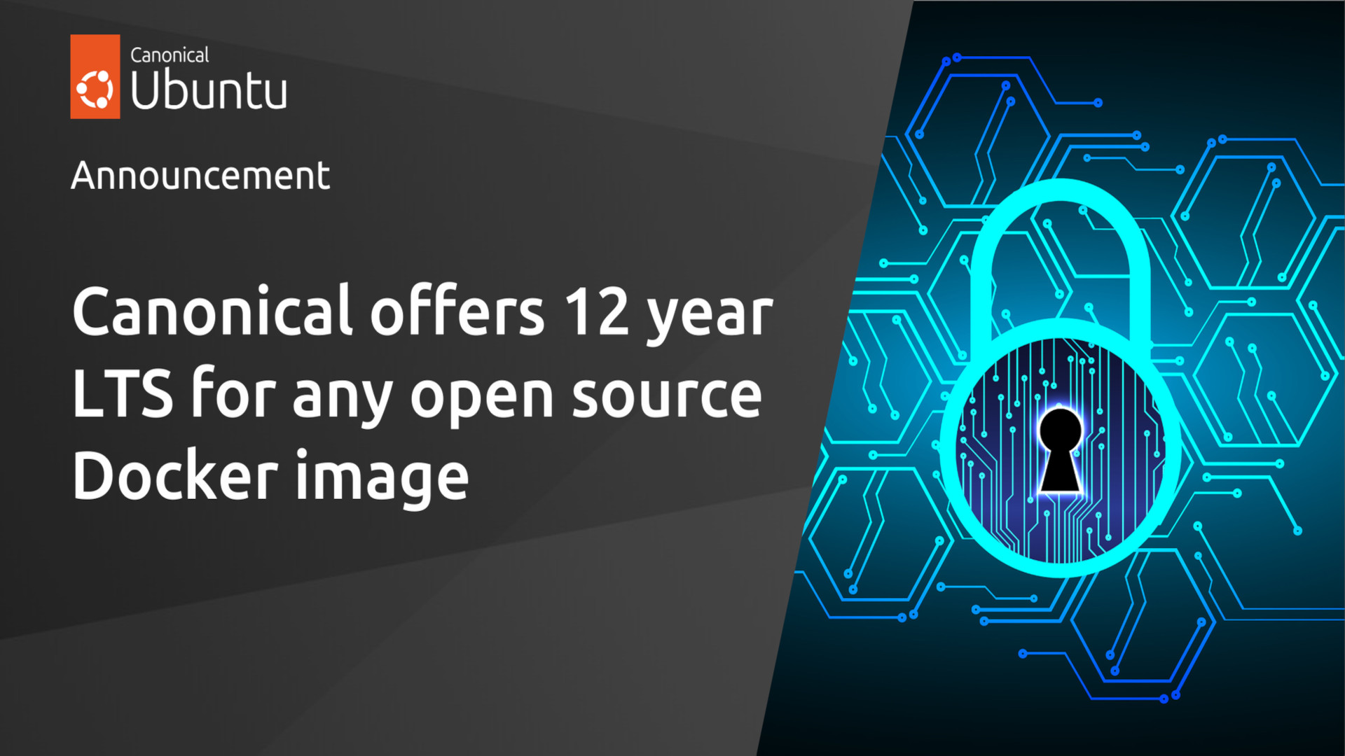 Canonical presenta Everything LTS: 12 anni di copertura su *qualsiasi ...