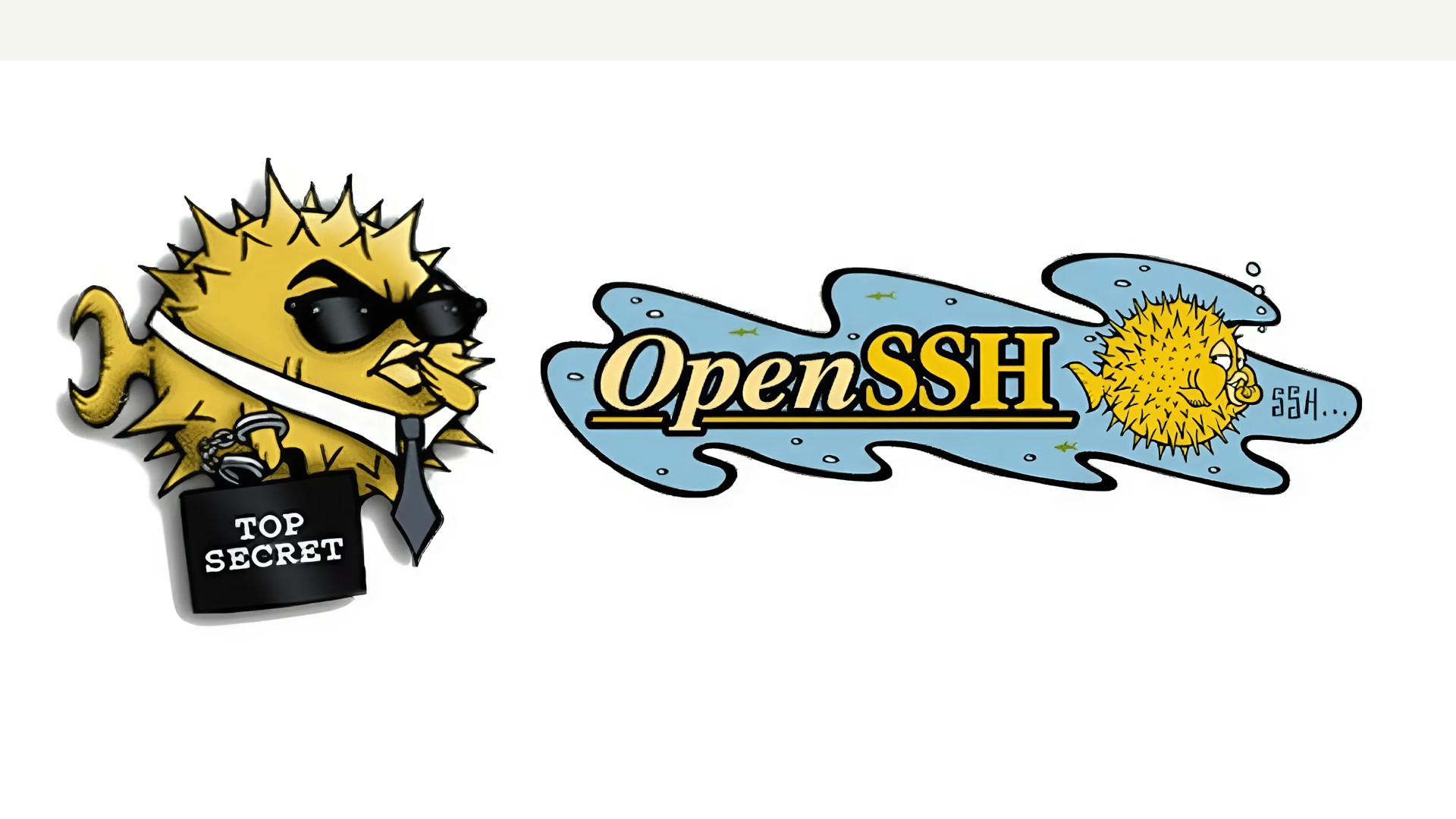 Rilasciato OpenSSH 10.2: correzione critica per ControlPersist e preparazione all'abbandono di ...