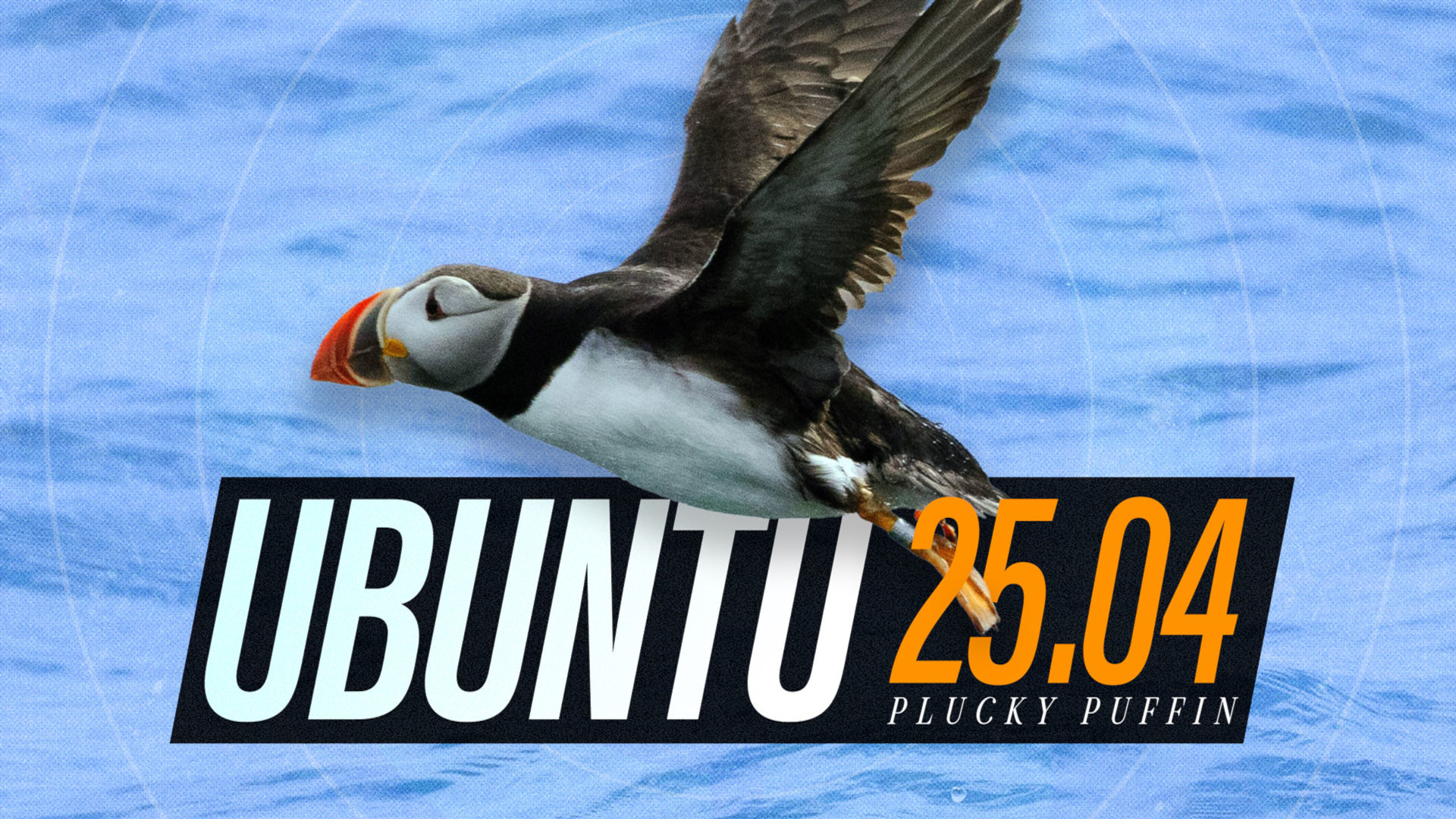 Le immagini ISO giornaliere di Ubuntu 25.04 "Plucky Puffin" sono ora disponibili per il download ...